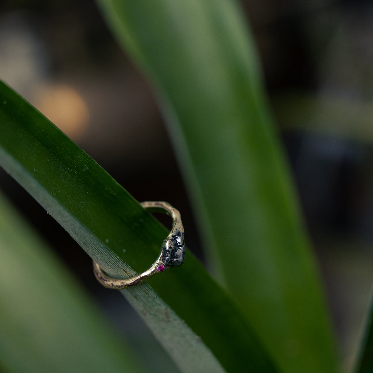Raw meteorite ring with ruby – Kwintner